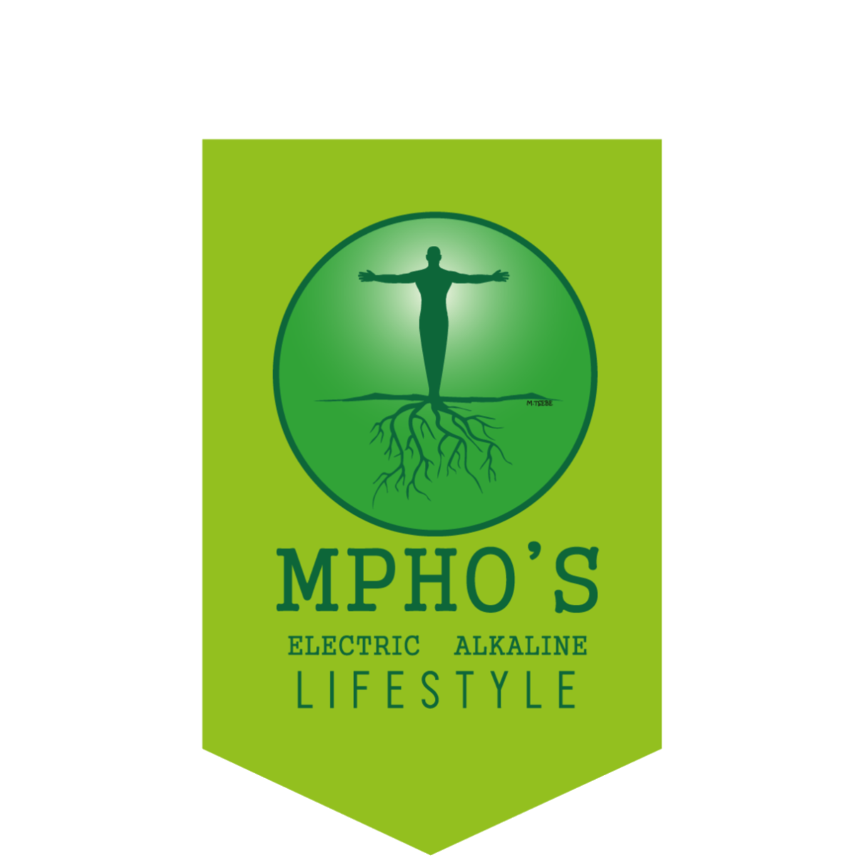 Mpho's Electric Alkaline Lifestyle - Official Online Store For MEA ...